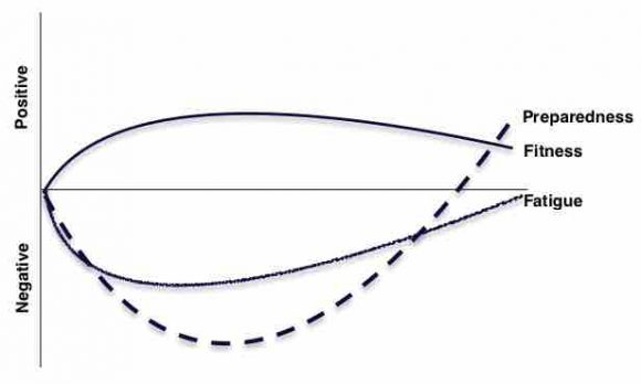 Structuring the Annual Training Plan - The Science Of Striking