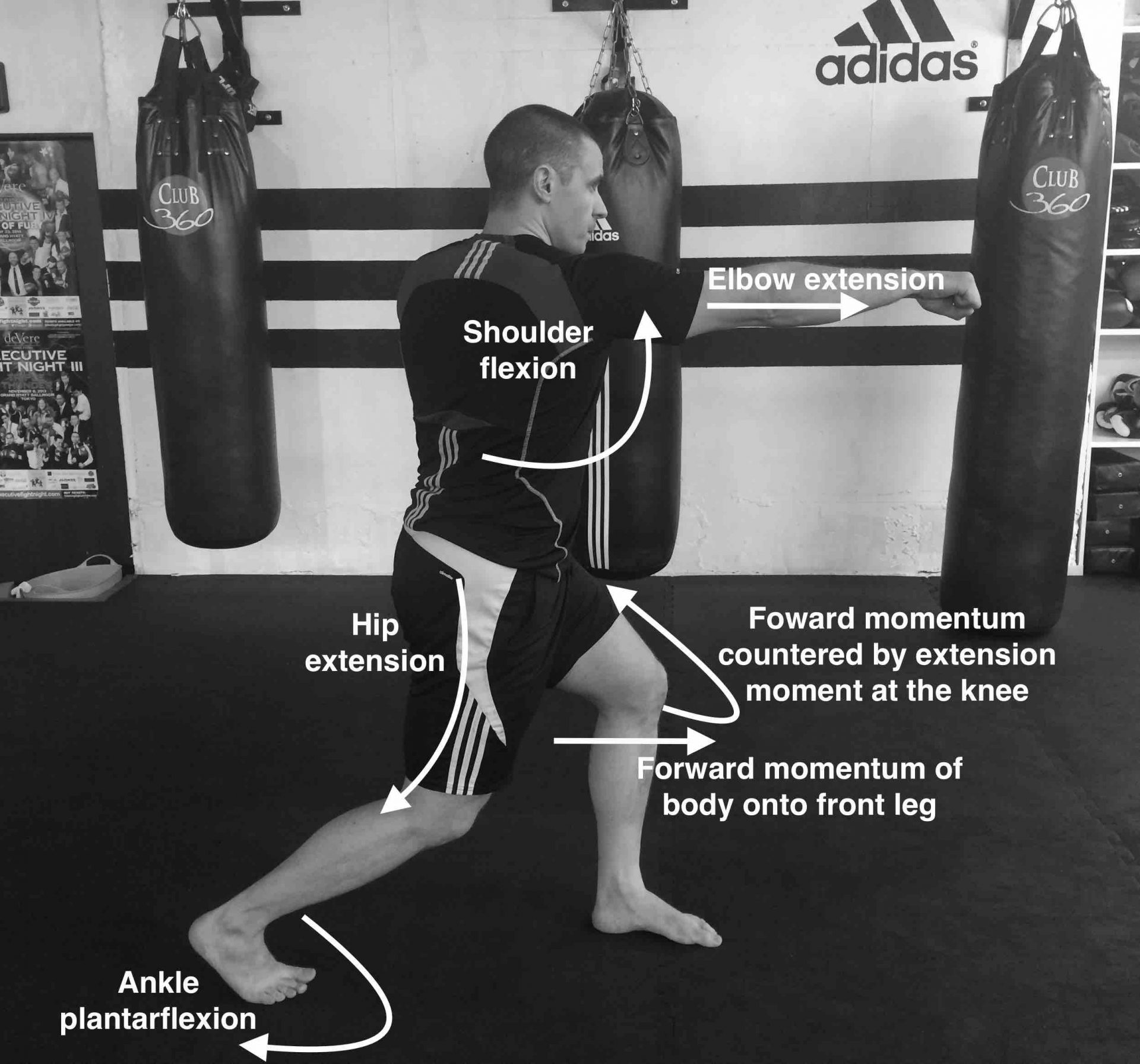 The Biomechanics of a Knockout Punch - The Science Of Striking
