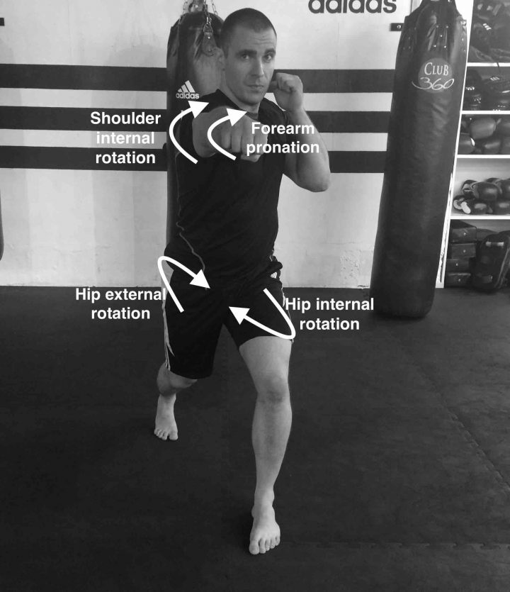 The Biomechanics of a Knockout Punch - The Science Of Striking