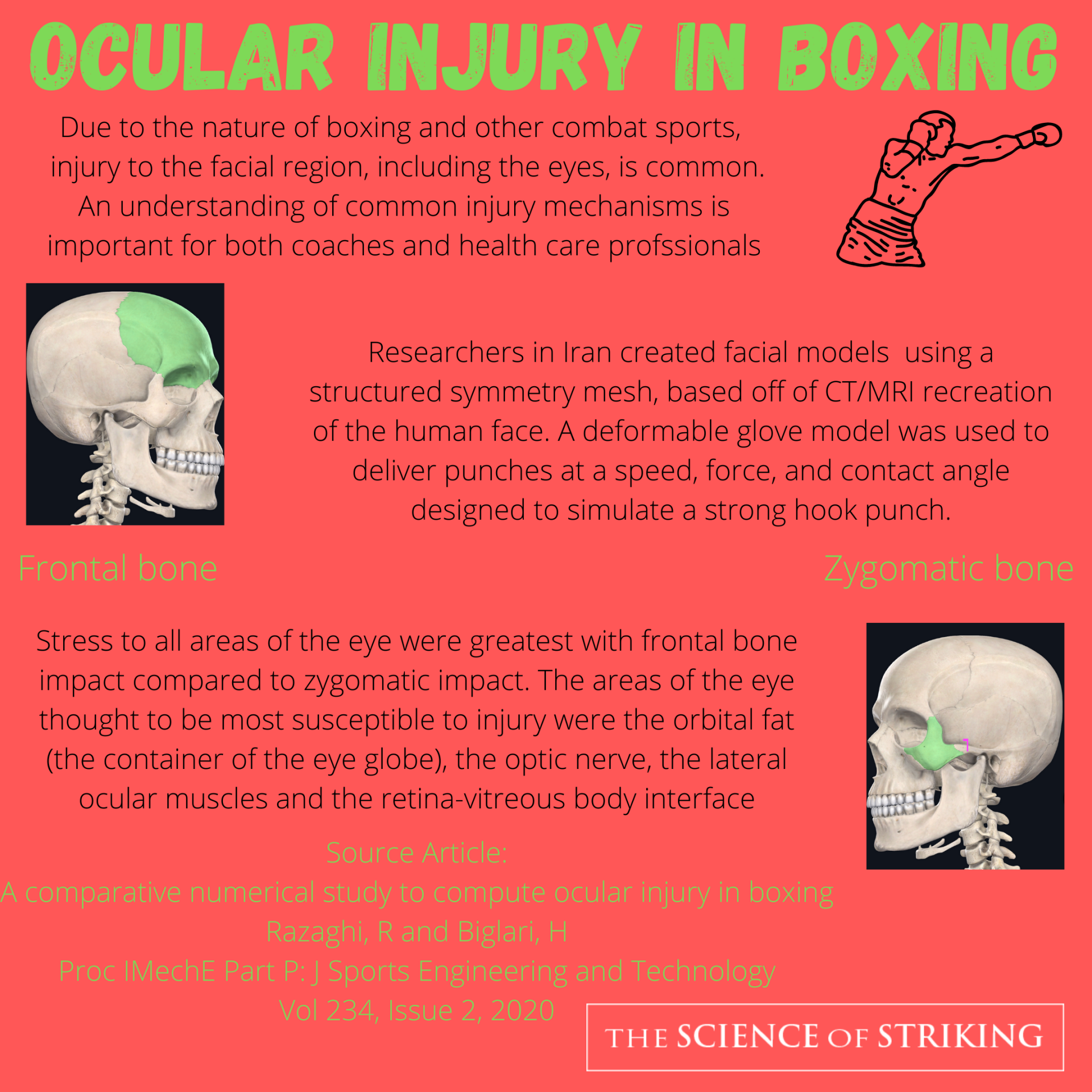 SHORT REVIEW: Ocular Injury Model in Boxing - The Science Of Striking