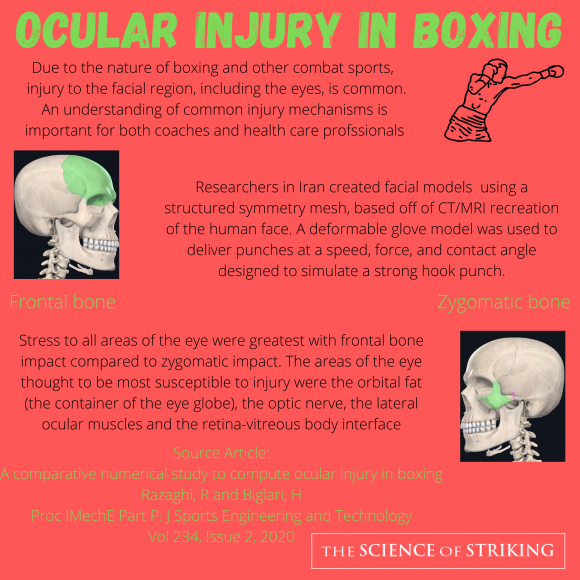 SHORT REVIEW: Ocular Injury Model in Boxing - The Science Of Striking