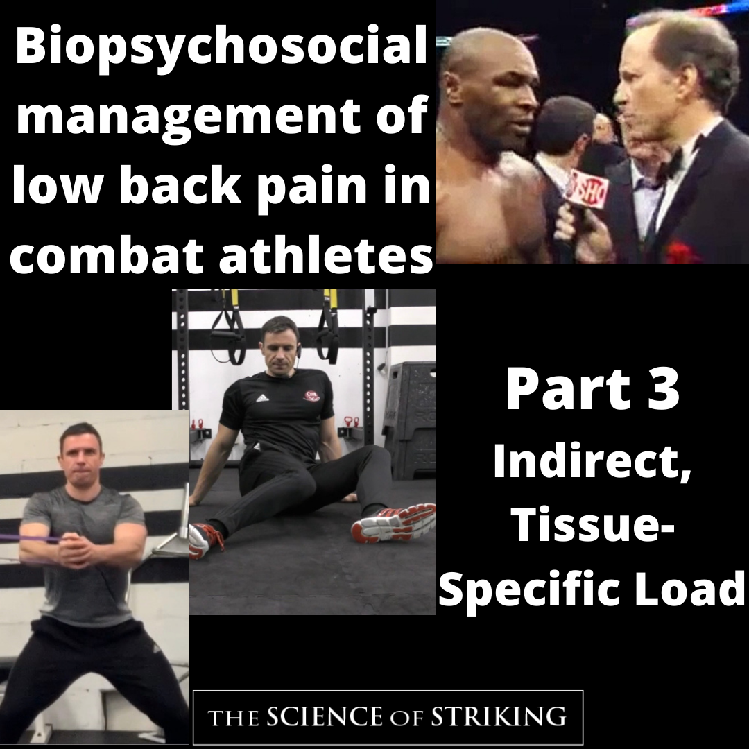 Biopsychosocial Approach to Managing Back Pain in Combat Athletes ...