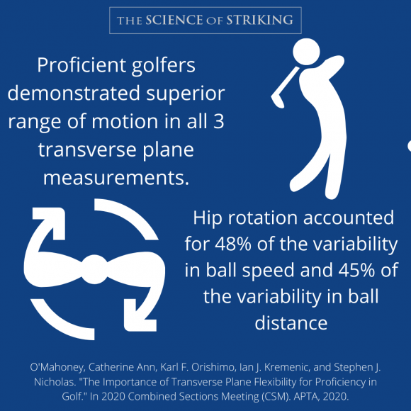 THE IMPORTANCE OF TRANSVERSE PLANE MOBILITY IN ROTATIONAL SPORTS - The ...